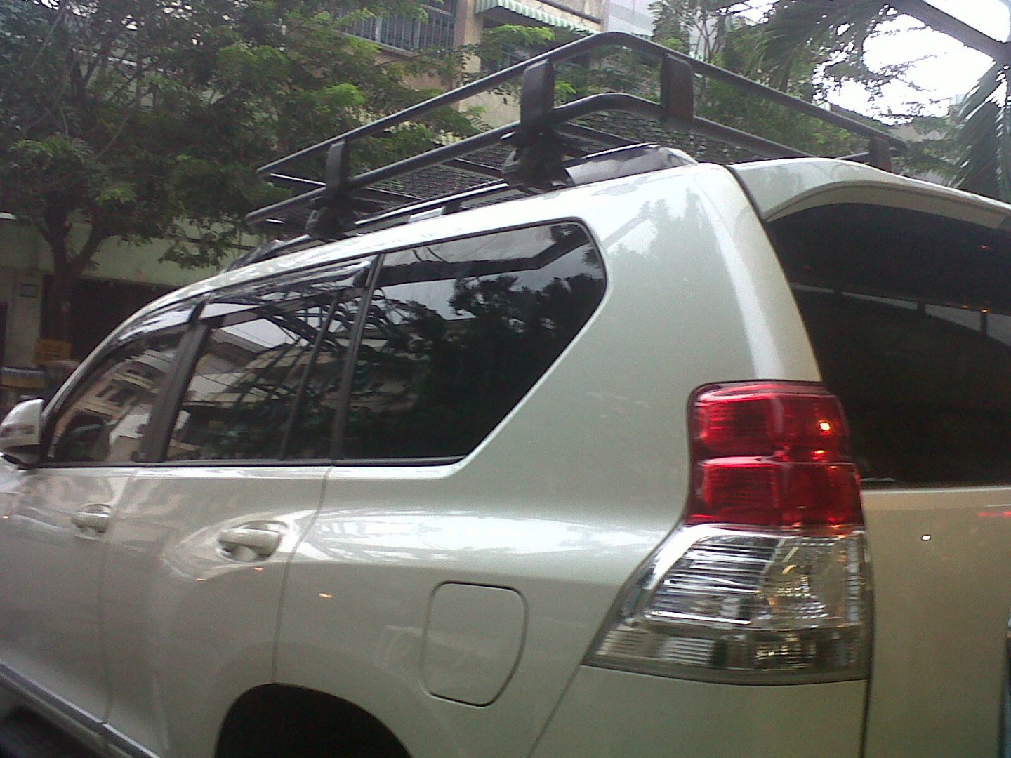 ROOFRACK FOREST | ROOFRACK | TAS | Indonesia 4WD EQUIPMENT CENTER